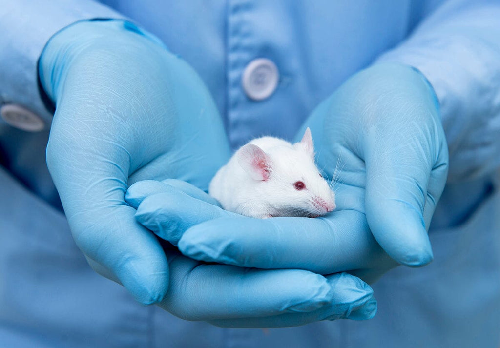 Scientists tap into a new way to help control brain cells | Scoville ...