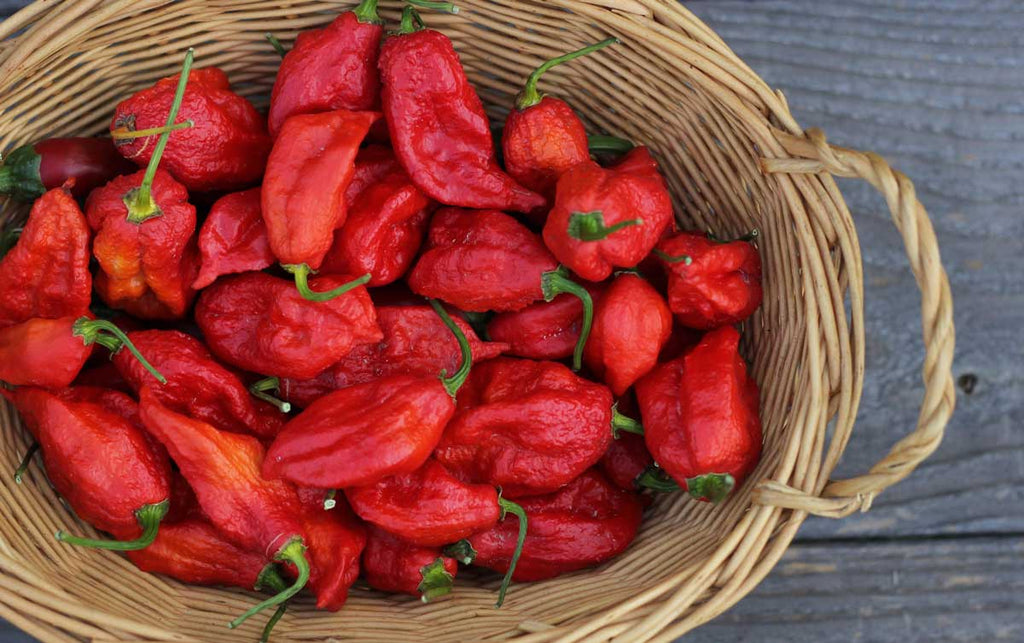 The quest for the hottest pepper | Capsaicin, Carolina Reaper, Mad Dog ...